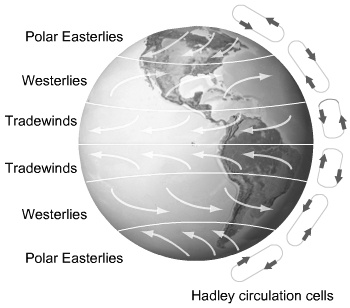 Polar Easterlies Westerlies Tradewinds Tradewinds Westerlies Polar Easterlies Hadley circulation ...