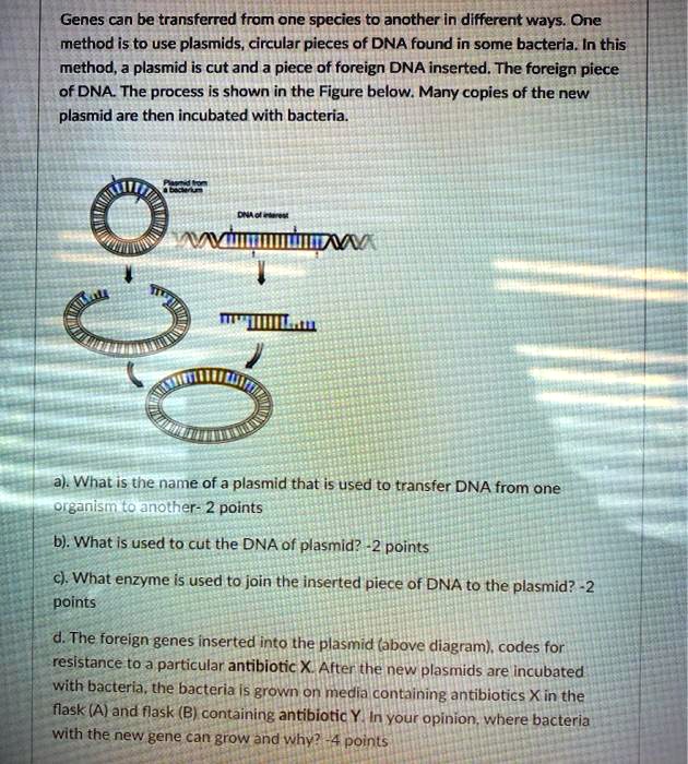 Genes can be transferred from one species to another in different ways ...
