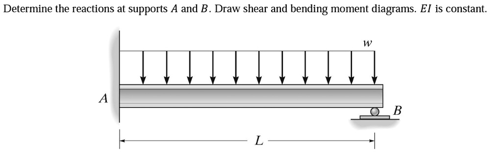 Determine the reactions at supports A and B. Draw shear and bending ...