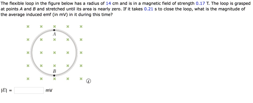 The flexible loop in the figure below has a radius of 14 cm and is in a ...