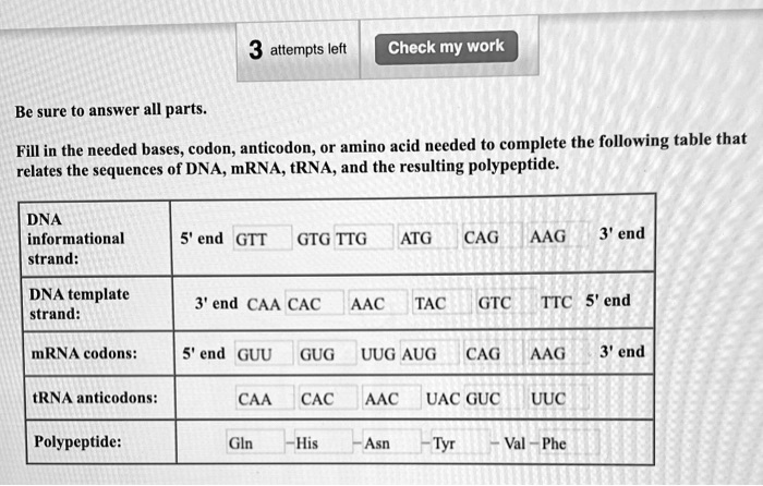 SOLVED: 3 attempts left Check my work Be sure to answer all parts Fill in the needed bases ...
