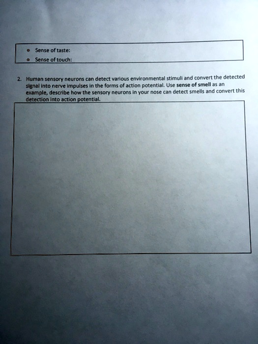 Sense of taste: • Sense of touch: 2. Human sensory neurons can detect ...