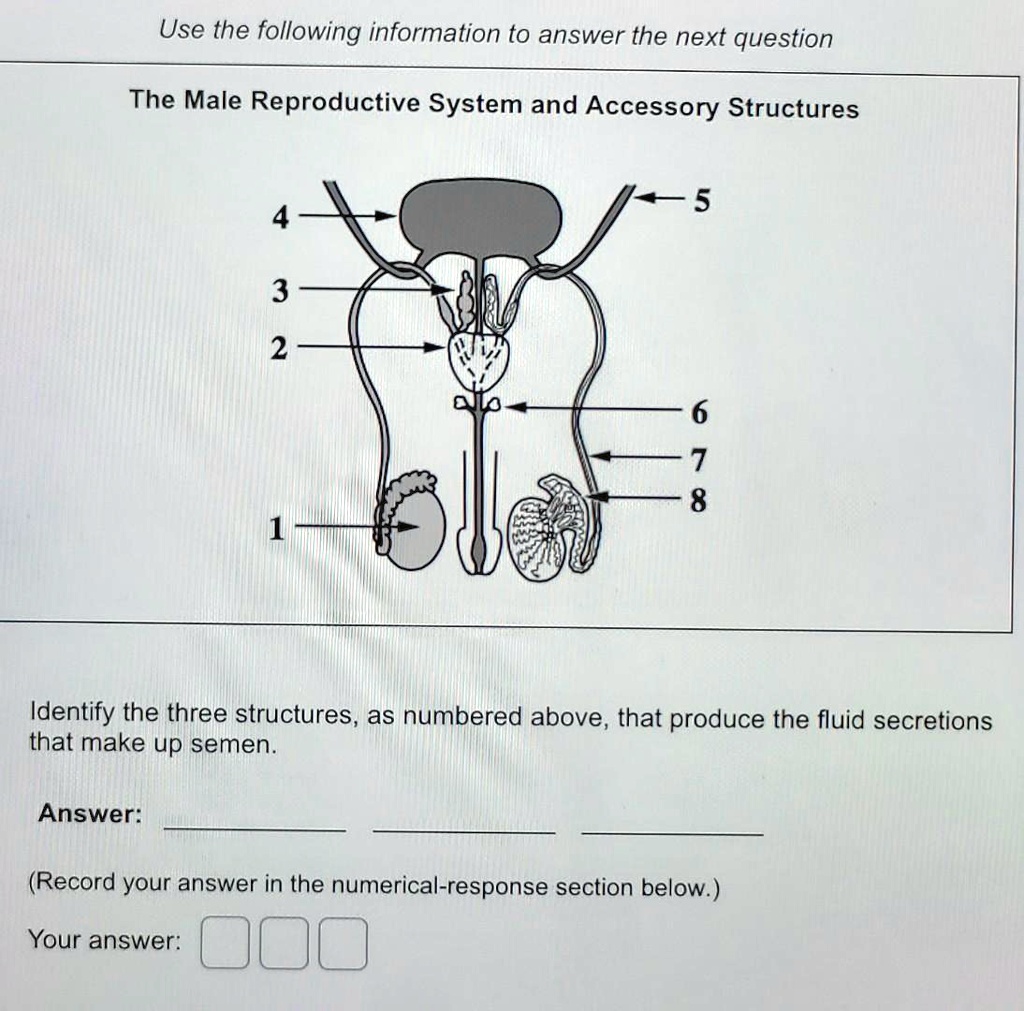 Use the following information to answer the next question The Male ...