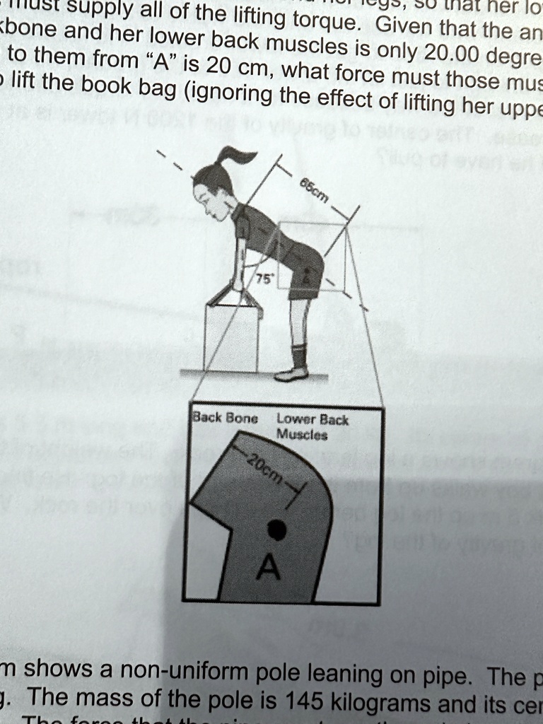supply all of the lifting torque. Given that the angle from her lower ...
