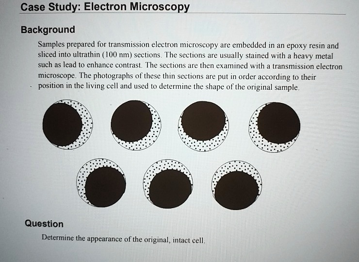 Case Study: Electron Microscopy Background Samples prepared for ...