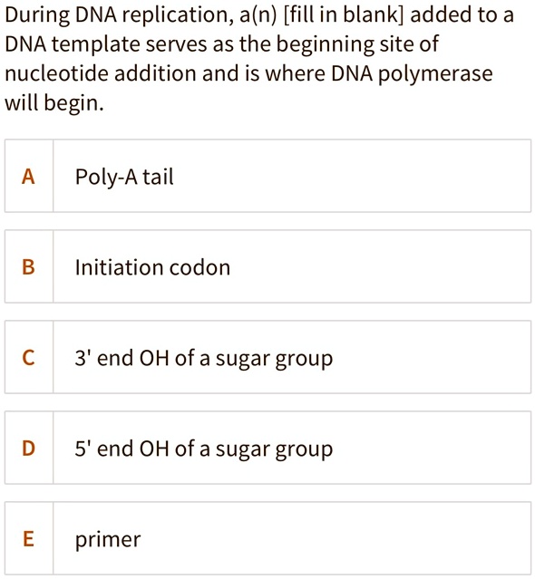 SOLVED: During DNA replication, a(n) [fill in blank] added to a DNA ...
