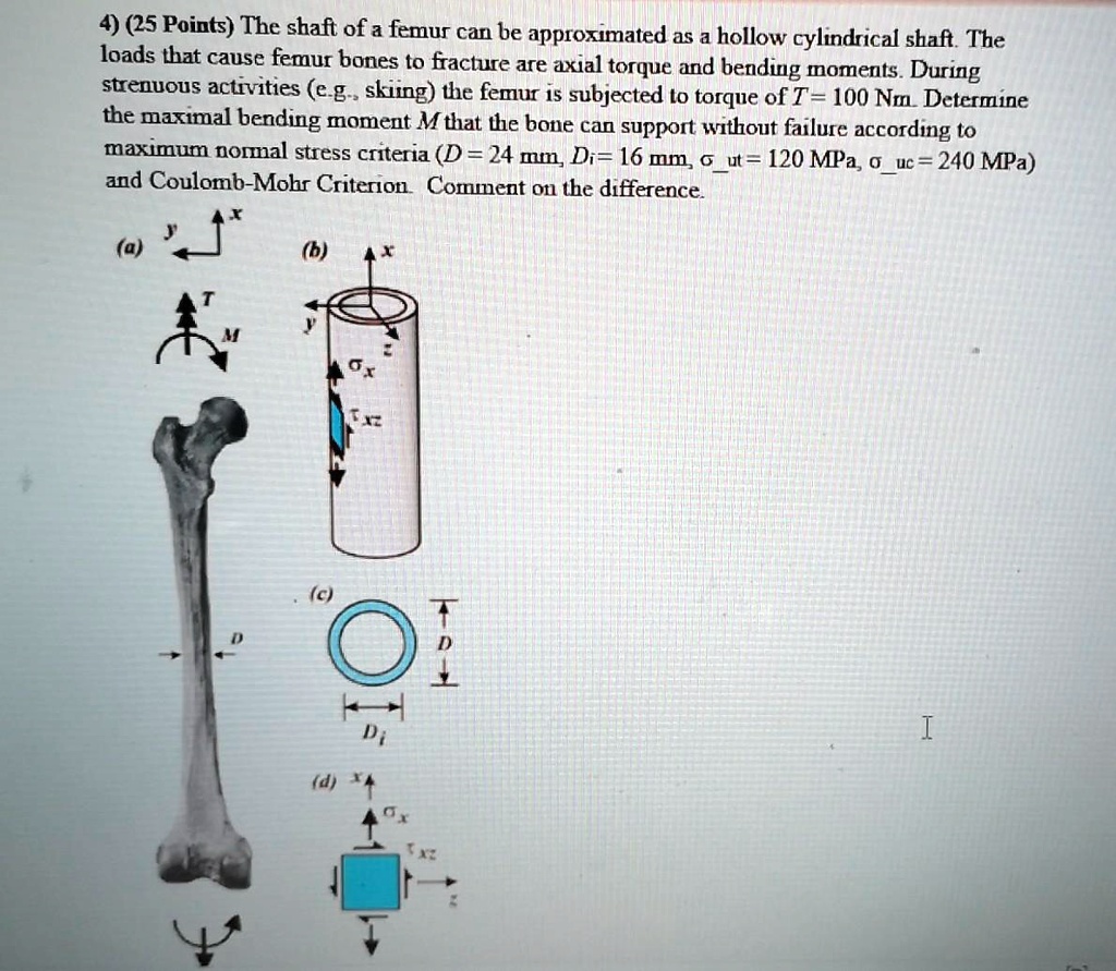 SOLVED: The shaft of a femur can be approximated as a hollow ...