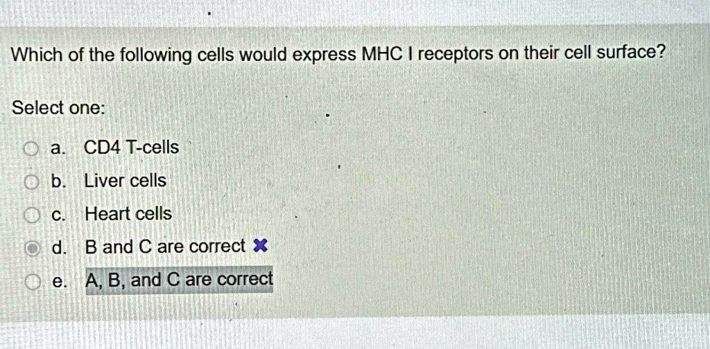 SOLVED: Which of the following cells would express MHC I receptors on their cell surface? Select ...