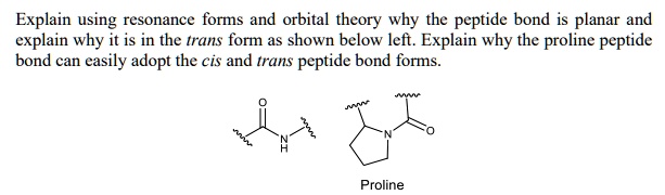 explain using resonance forms and orbital theory why the peptide bond ...
