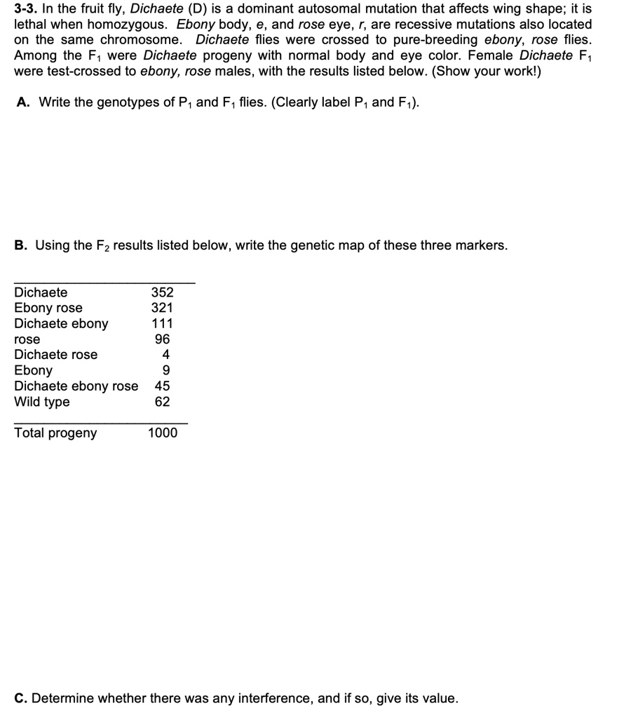 3 3 in the fruit fly dichaete d is a dominant autosomal mutation that ...