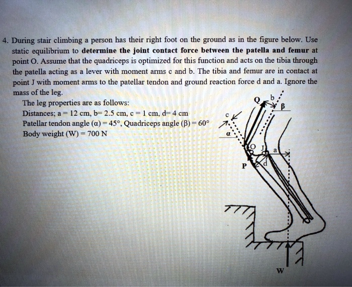 4during stair climbing a person has their right foot on the ground as ...