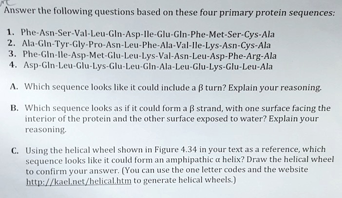 Answer the following questions based on these four primary protein ...