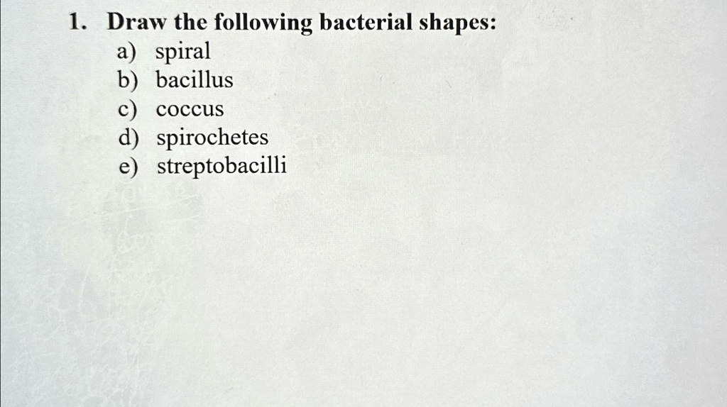 SOLVED: Draw the following bacterial shapes: a) spiral b) bacillus c ...