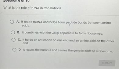 SOLVED: What is the role of rRNA in translation? A. It reads mRNA and helps form peptide bonds ...