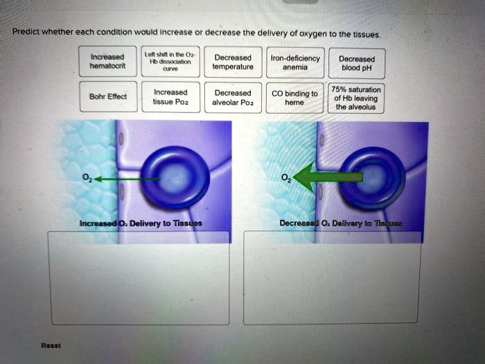 SOLVED: Text: Predict whether each condition would increase or decrease ...