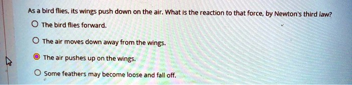 SOLVED: As a bird flies, its wings push down on the air. What is the ...
