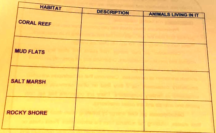 HABITAT DESCRIPTION ANIMALS LIVING IN IT CORAL REEF MUD FLATS SALT ...
