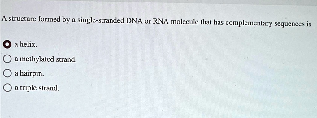 SOLVED: A structure formed by a single-stranded DNA or RNA molecule that has complementary ...