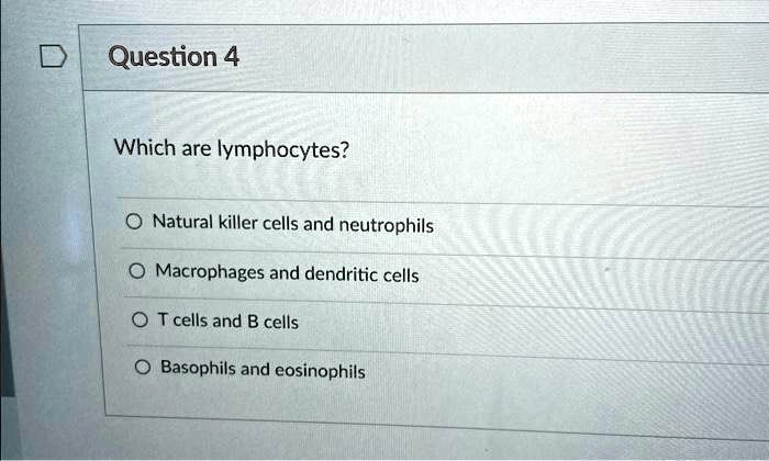 Question 4 Which are lymphocytes? Natural killer cells and neutrophils ...