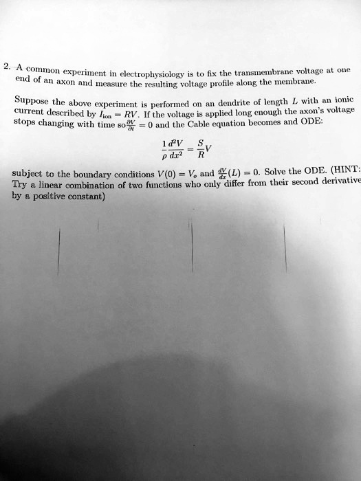 SOLVED: Common experiments in electrophysiology fix the transmembrane ...