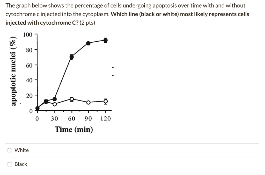 SOLVED: The graph below shows the percentage of cells undergoing ...