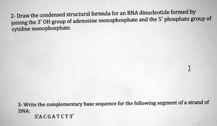 2 draw the condensed structural formula for an rna dinucleotide formed ...