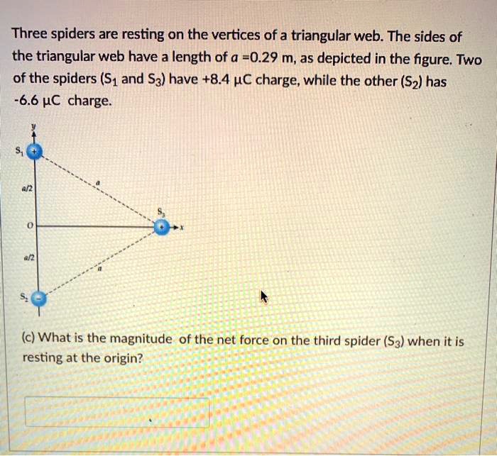 three spiders are resting on the vertices of a triangular web the sides ...