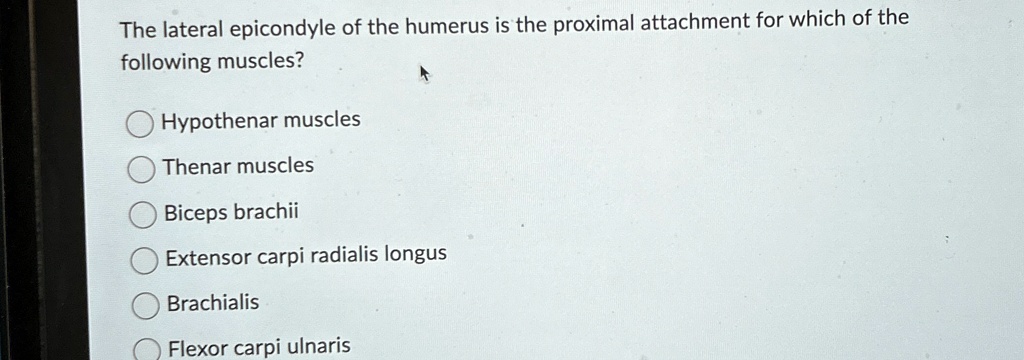 The lateral epicondyle of the humerus is the proximal attachment for ...