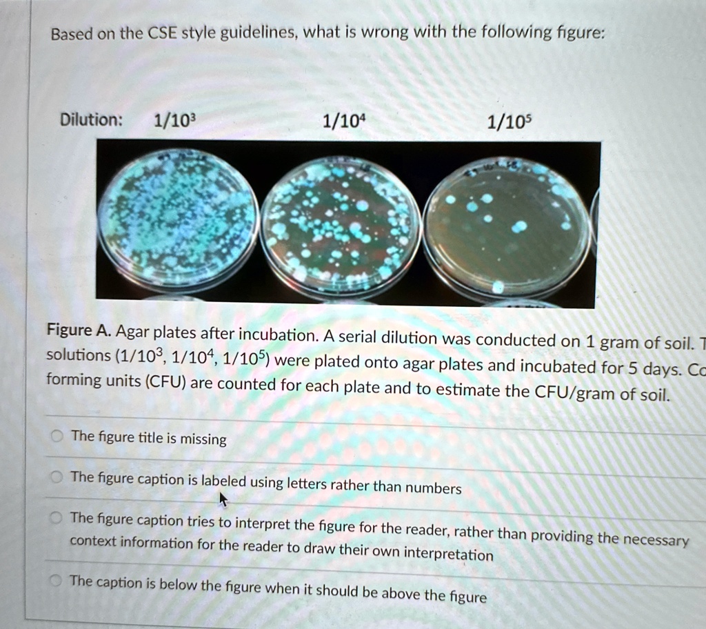 based on the cse style guidelines what is wrong with the following ...