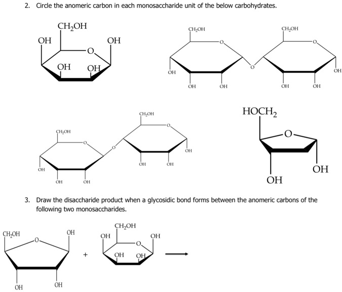 SOLVED: Circle the anomeric carbon in each monosaccharide unit of the ...