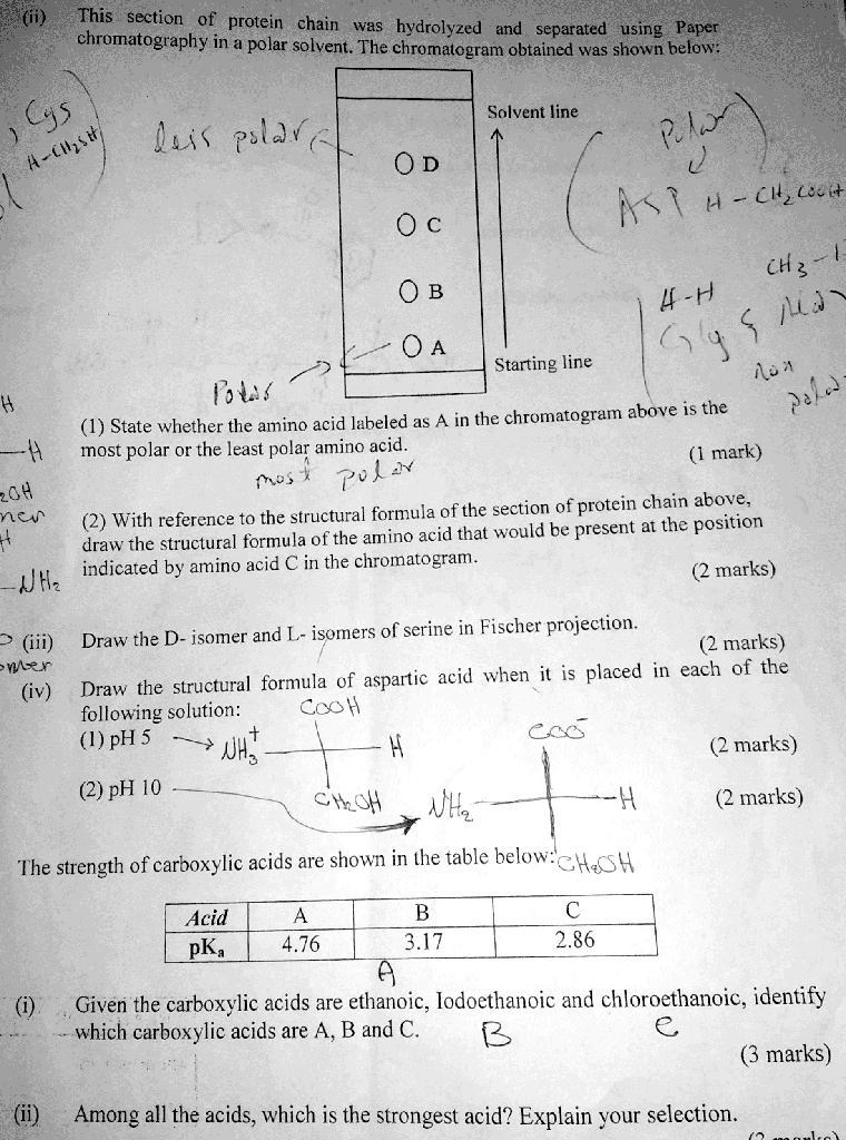 SOLVED: This section of the protein chain was hydrolyzed and separated ...