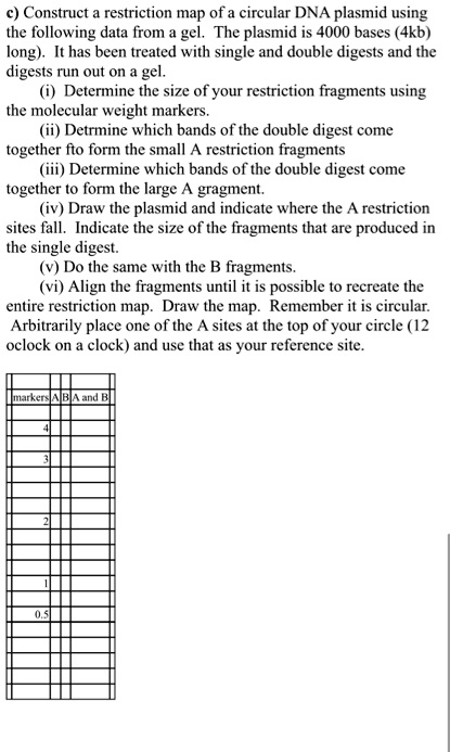SOLVED: c) Construct restriction map of circular DNA plasmid using the following data from gel ...