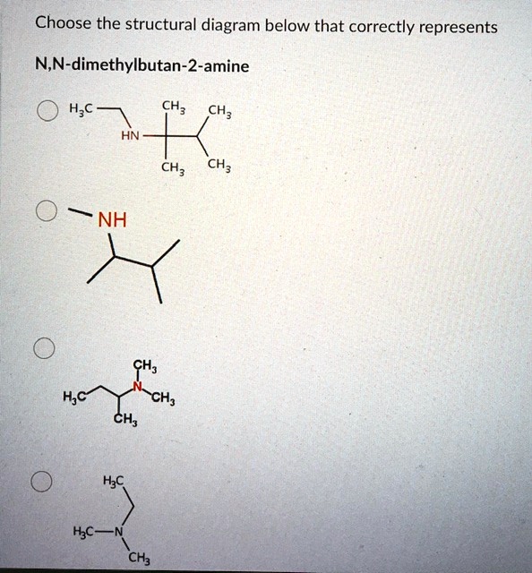 SOLVED: Texts: Choose the structural diagram below that correctly ...