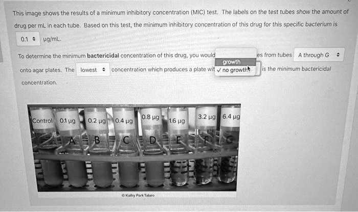 this image shows the results of a minimum inhibitory concentration mic ...