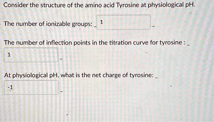 Consider the structure of the amino acid Tyrosine at physiological pH ...