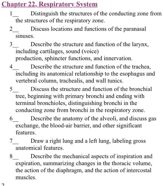 SOLVED: Chapter 22, Respiratory System 1. Distinguish the structures of ...
