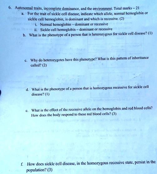 SOLVED: Autosomal traits, incomplete dominance, and the environment ...