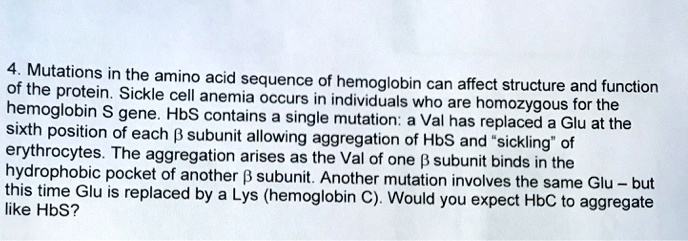 SOLVED: Mutations in the amino acid sequence of hemoglobin of the ...