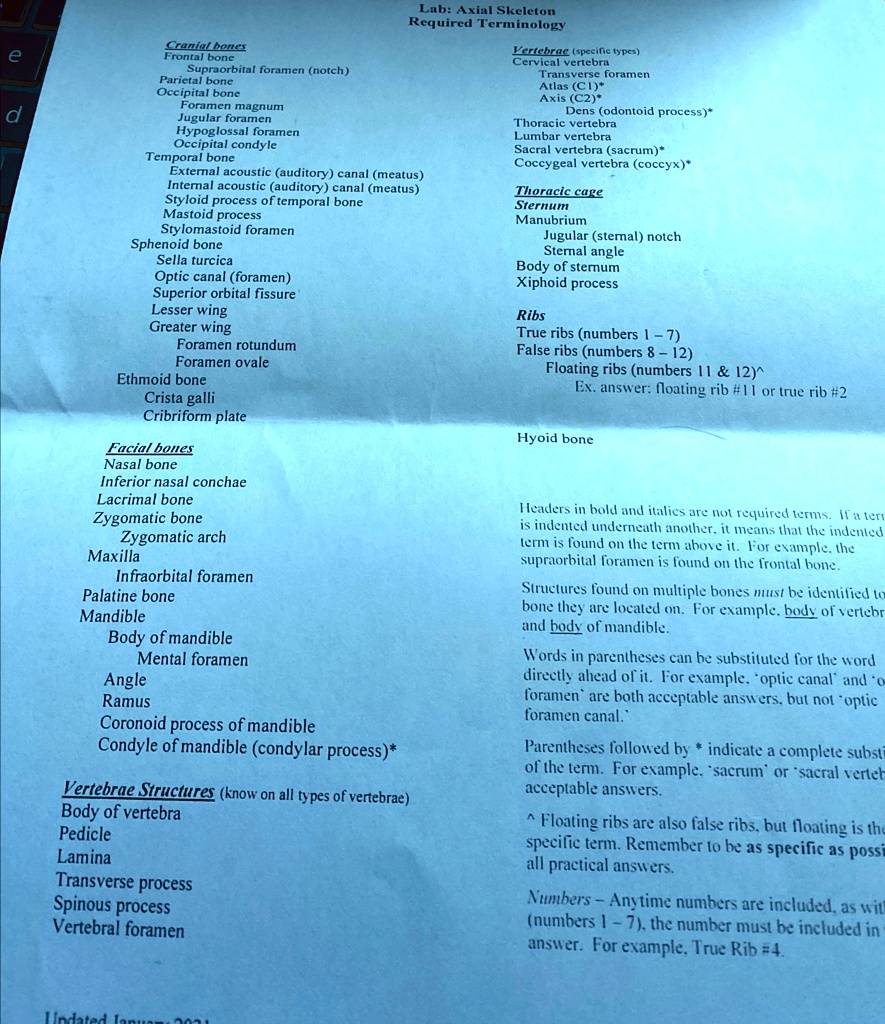 cranial bones frontal bone supraorbital foramen notch parietal bone ...