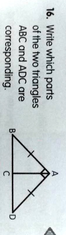 16. Write which parts of the two triangles ABC and ADC are corresponding.