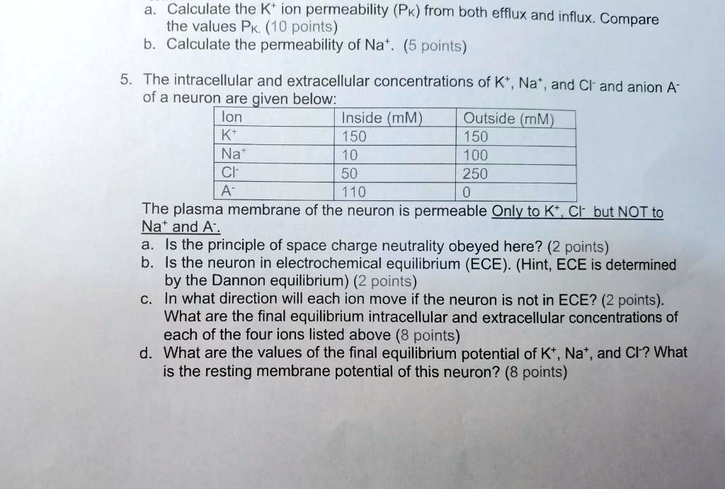 SOLVED: Calculate the K ion permeability (Pk) from both efflux and ...