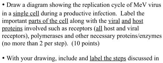SOLVED: Draw a diagram showing the replication cycle of MeV virus in a ...
