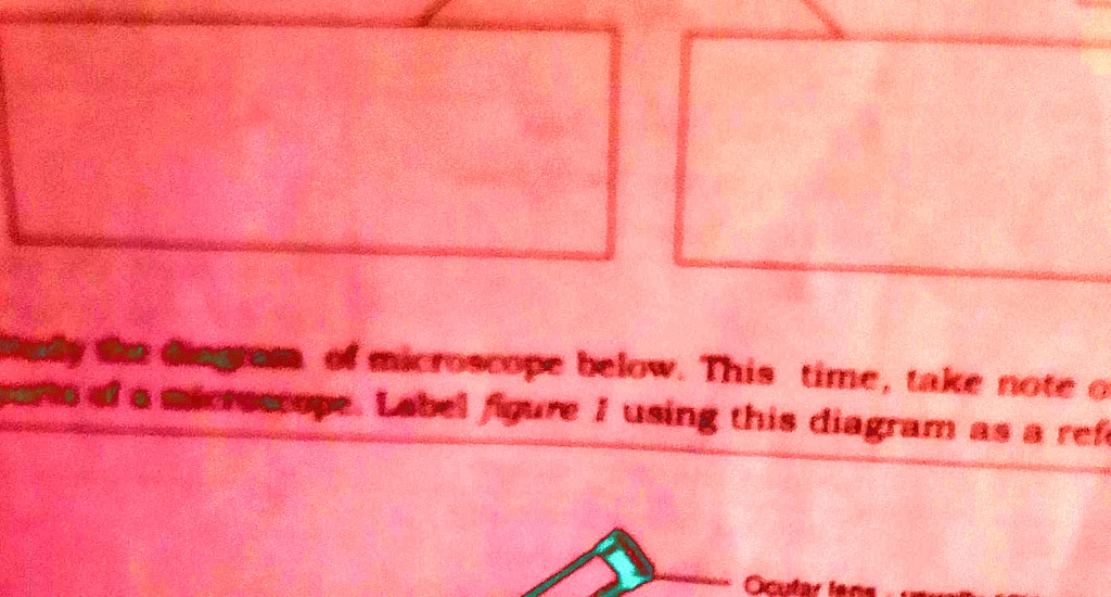 Diagram of microscope below. This time, take note of parts of a ...