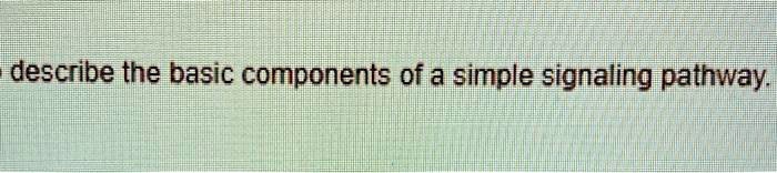SOLVED:describe the basic components of a simple signaling pathway