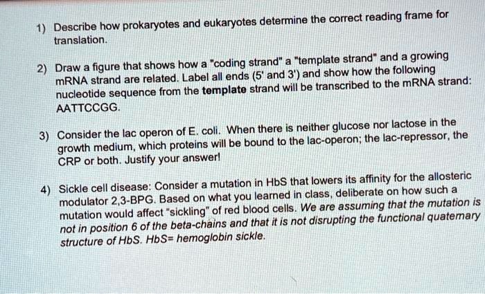 SOLVED: Determine the correct reading frame for describing how ...