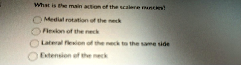 what is the main action of the scalene muscles medial rotation of the ...