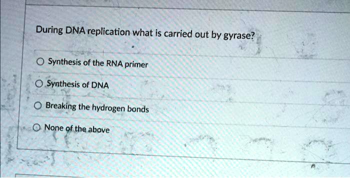 Solved During Dna Replication What Is Carried Out By Gyrase A Synthesis Of The Rna Primer B