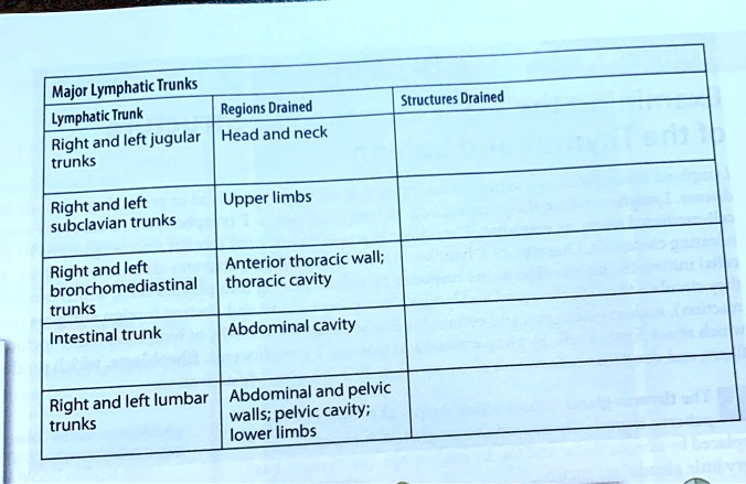 SOLVED: Major Lymphatic Trunks Lymphatic Trunk Regions Drained Right ...