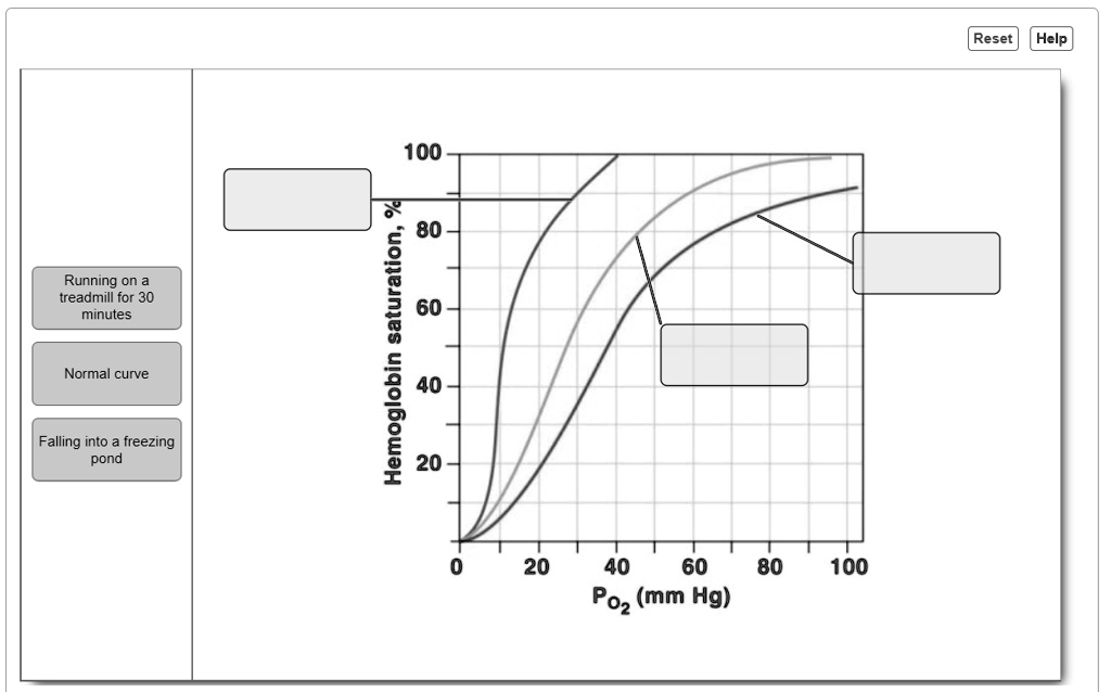 drag and drop each of the following conditions so that it properly ...