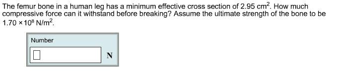SOLVED: The femur bone in a human leg has minimum effective cross ...